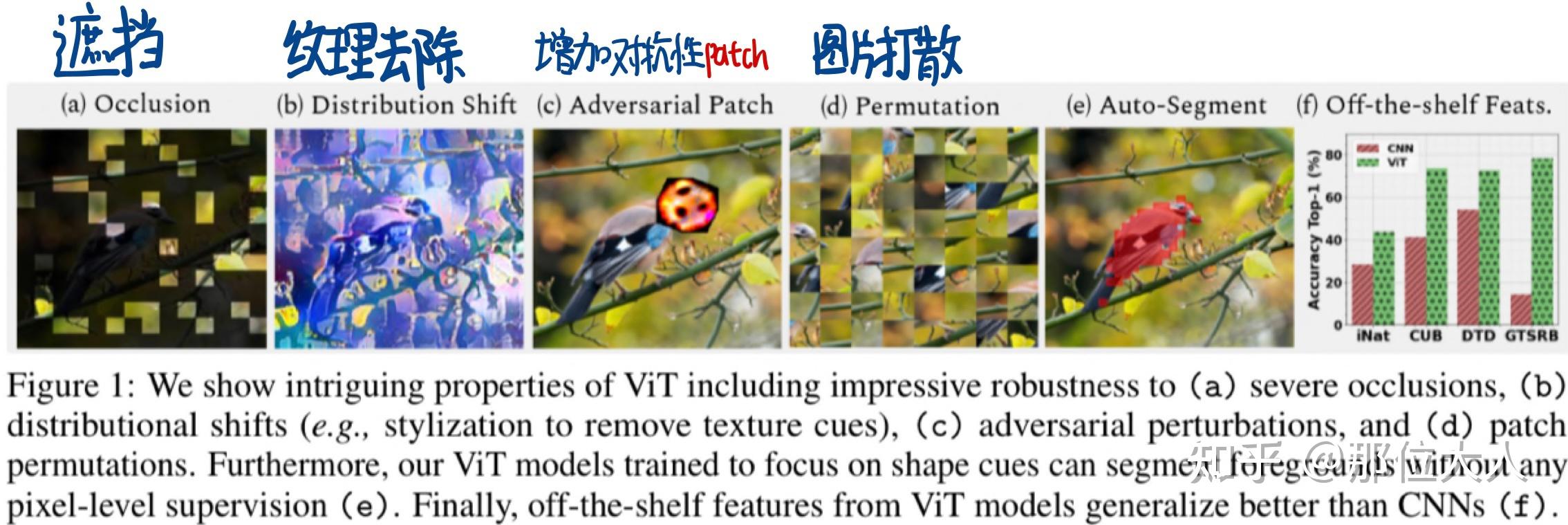 Vision Transformer精读笔记 - 知乎