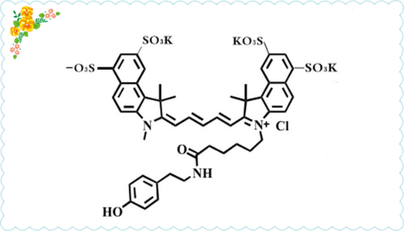 Sulfo-Cyanine5.5 Tyramide，Tyramide-Sulfo-Cy5.5，磺酸基-花青素Cy5.5 酪酰胺 - 知乎