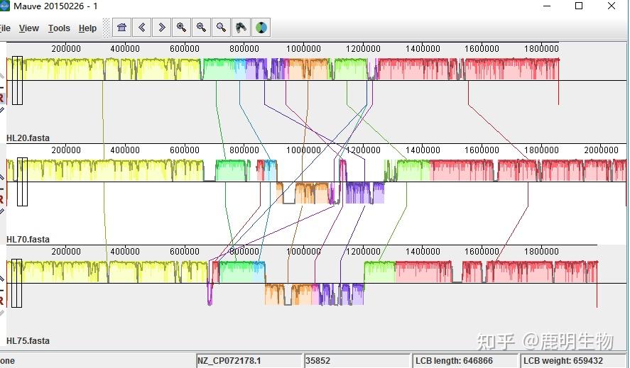 一文教会您系列之 - 基因组共线性分析（Mauve） - 知乎