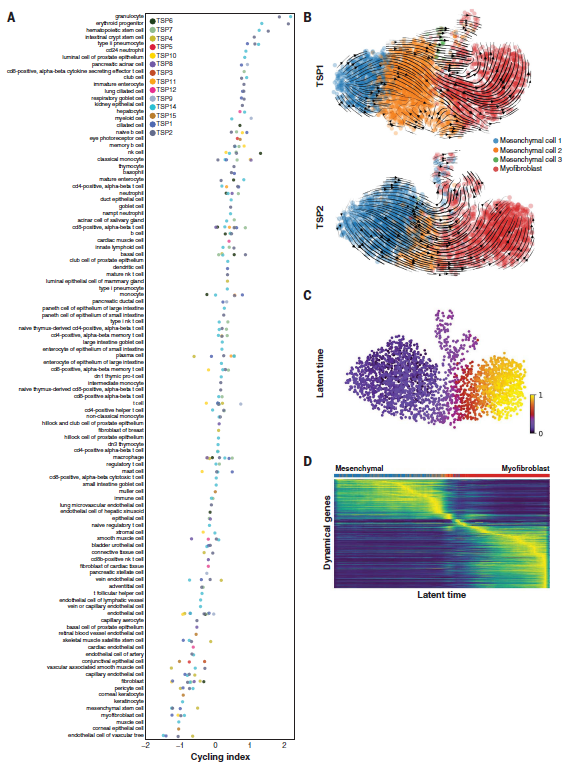Science | Tabula Sapiens：人类多器官单细胞转录本测序图谱 - 知乎