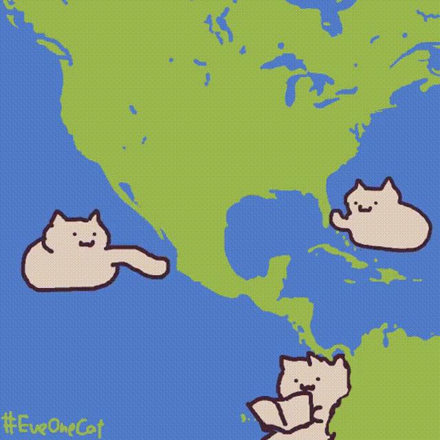 魔性猫猫everyday one cat 表情包 - 知乎