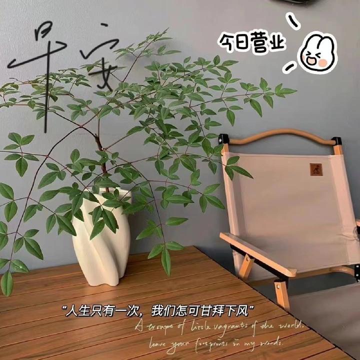 PGDQ2认证/PGAA认证/）PGJI2认证 - 知乎