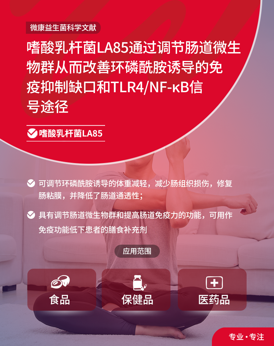 微·益菌 |嗜酸乳杆菌LA85通过调节肠道微生物群从而改善环磷酰胺诱导的免疫抑制 - 知乎