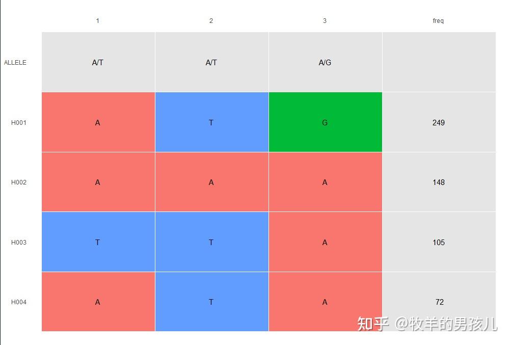 R语言中的geneHapR包做单倍型/单倍型网络分析（1） - 知乎