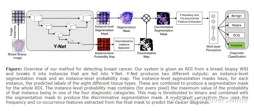那些用字母开头的Net:U-Net 、V-Net、M-Net - 知乎