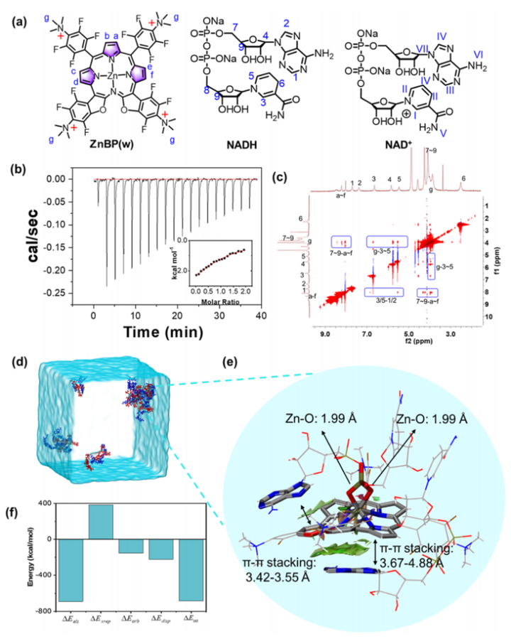 《ACS AMI》：静电力微针贴片利用光氧化还原催化进行透皮光疗 - 知乎