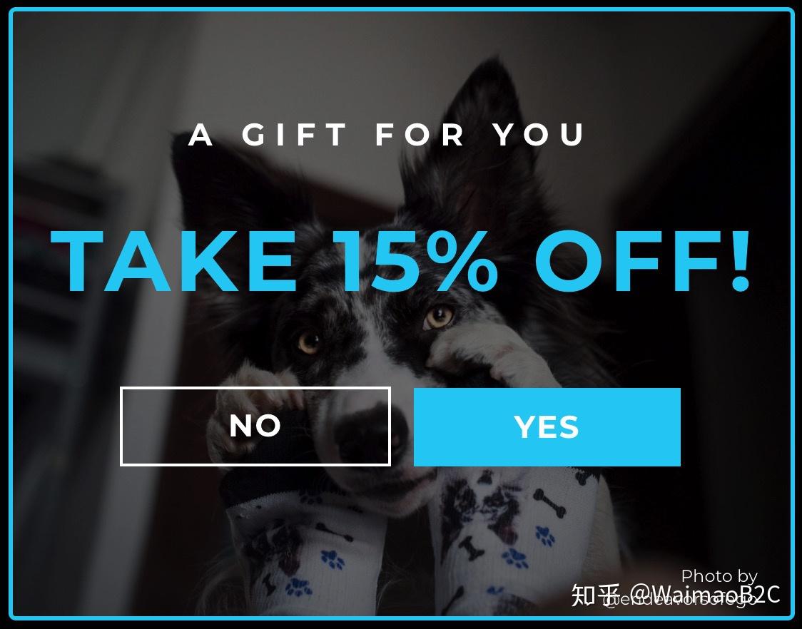 PupSocks – 月销800万美金的袜子独立站是怎样炼成的 - 知乎