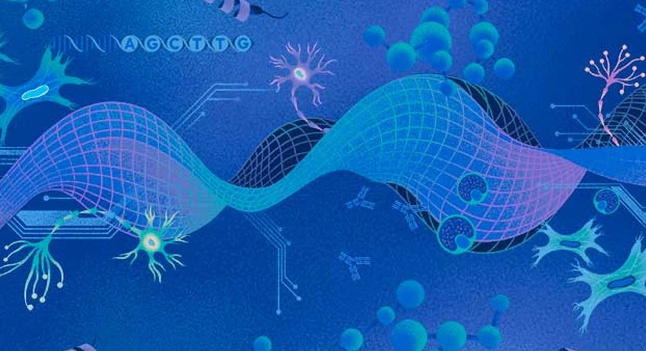 Nat. Com. Sci.｜使用ActiveSVM在单细胞mRNA-seq数据集中发现最小基因集 - 知乎