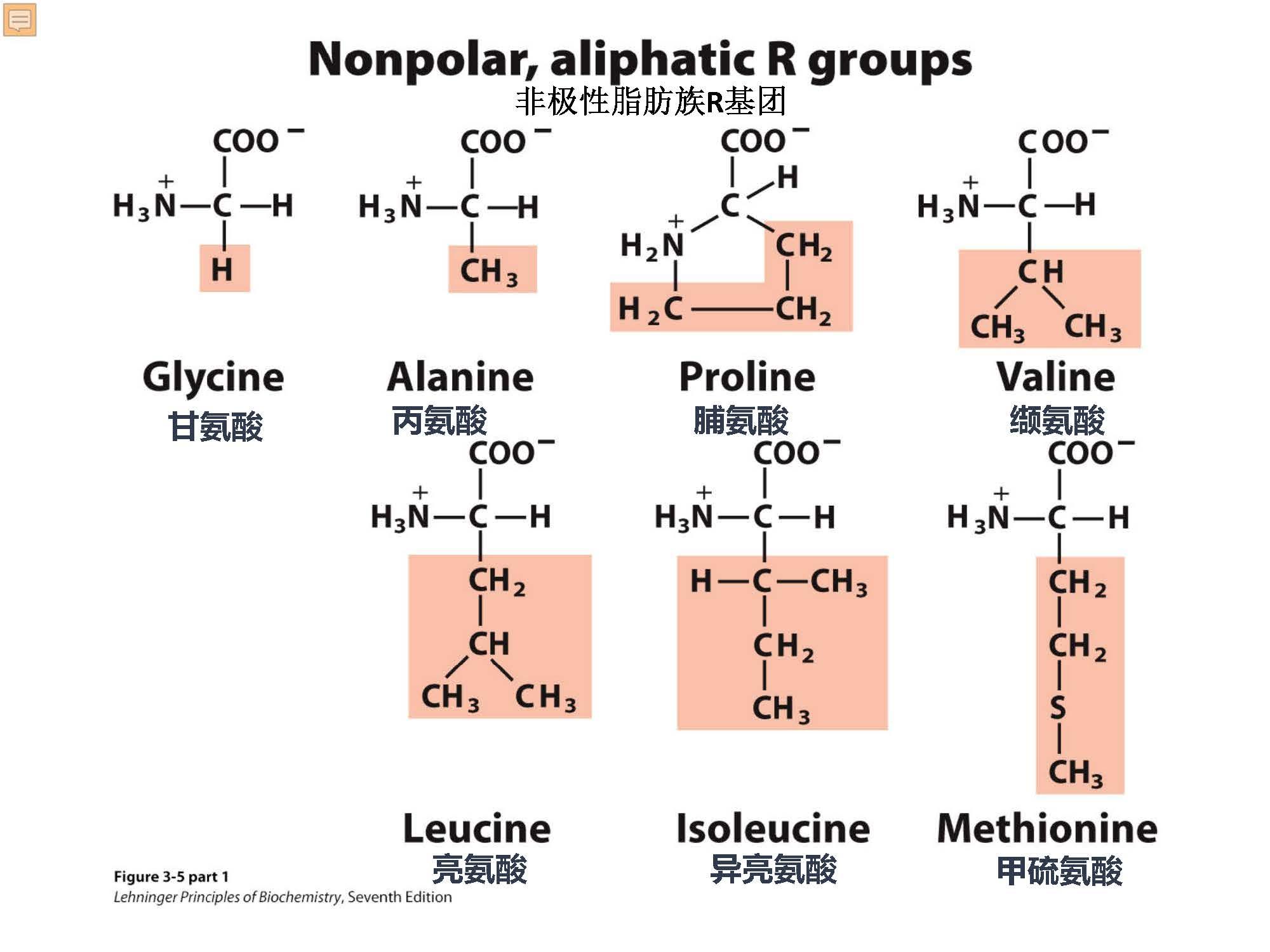莱宁格生物化学原理 Lehninger Principles of Biochemistry 重点划线 导读双语课件 - 知乎