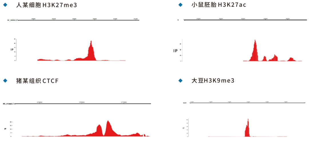 CUT&Tag+RNA-seq关联分析的 5 个套路 - 知乎
