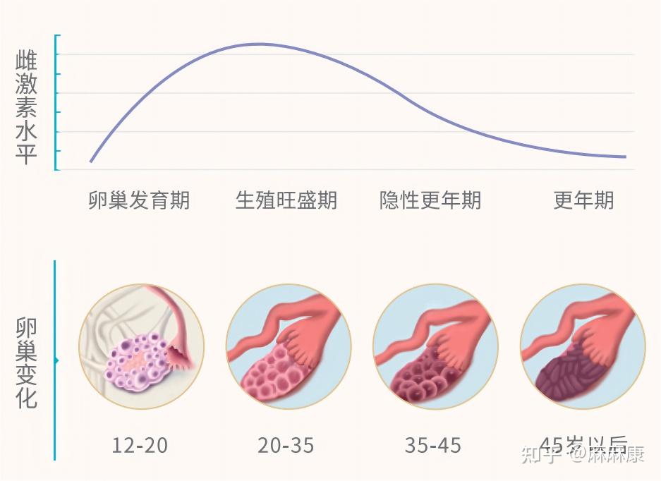 女性提不起性趣、缺乏快感？一文读懂原因表现及改善方法 知乎