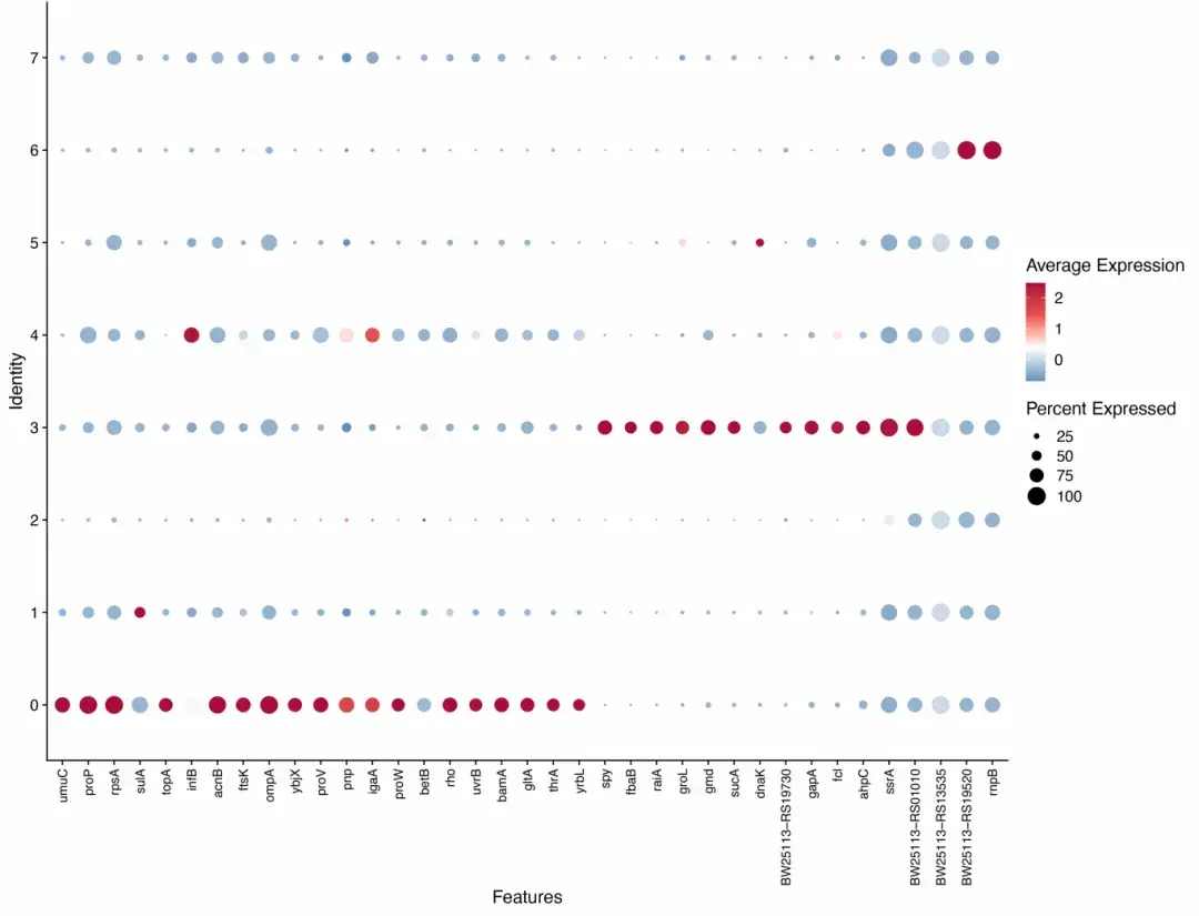 Nature｜单细菌转录组测序技术助力揭示细菌超高持留策略 - 知乎