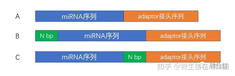 教你利用clustalw和blat解决接头问题问题 - 知乎