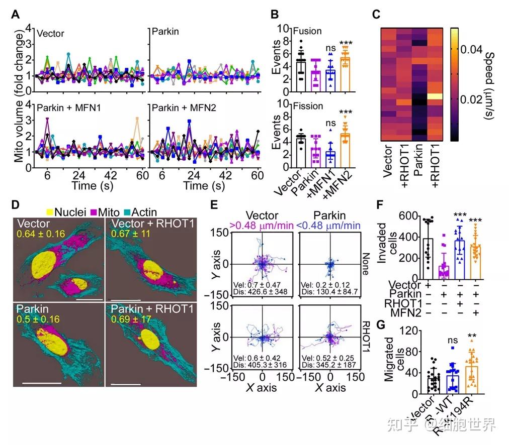 Sci Adv | 肿瘤泛素化组学揭示代谢重编程机理 - 知乎