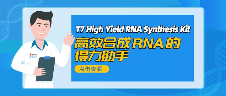 T7 High Yield RNA Synthesis Kit：高效合成 RNA 的得力助手 - 知乎