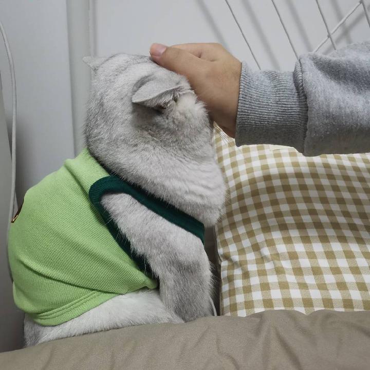 Qt文件系统源码分析—第二篇QFileInfo - 知乎