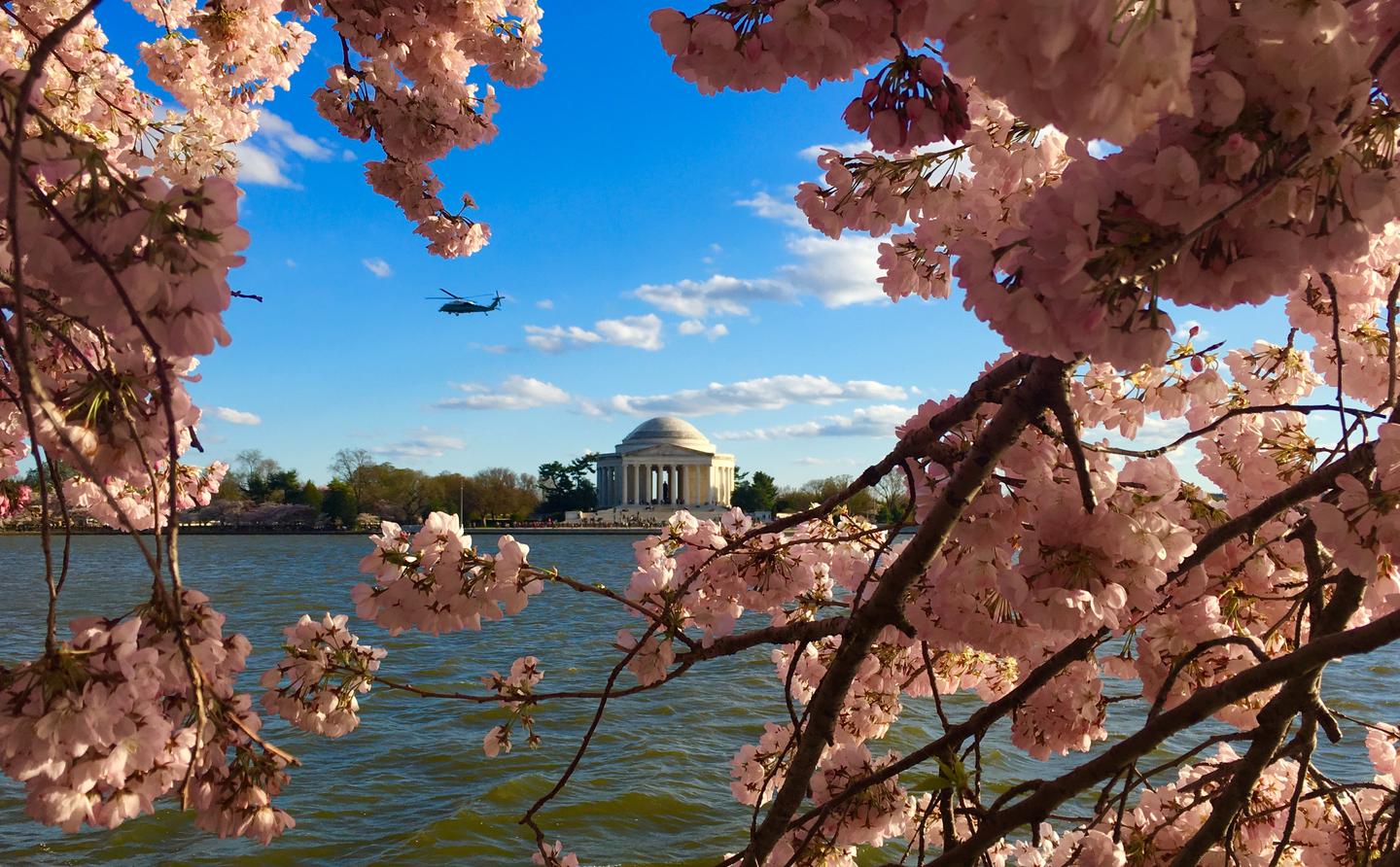 SIOP (IBP)的经验和教训 - 知乎