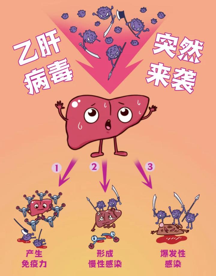 什么是乙型肝炎病毒核心抗体？ - 知乎