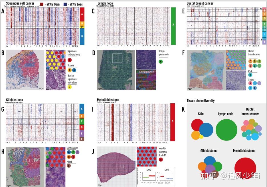 时空CNV分析导论 - 知乎