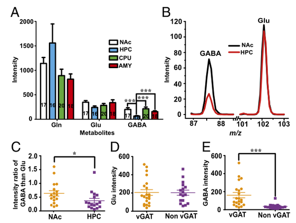PNAS：单细胞代谢质谱实现活体神经元发育过程原位快速代谢监测 - 知乎