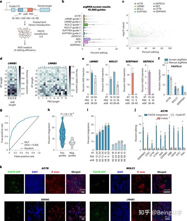 无需DNA双链断裂！基因组编辑新利器可实现超长序列高效插入 - 知乎
