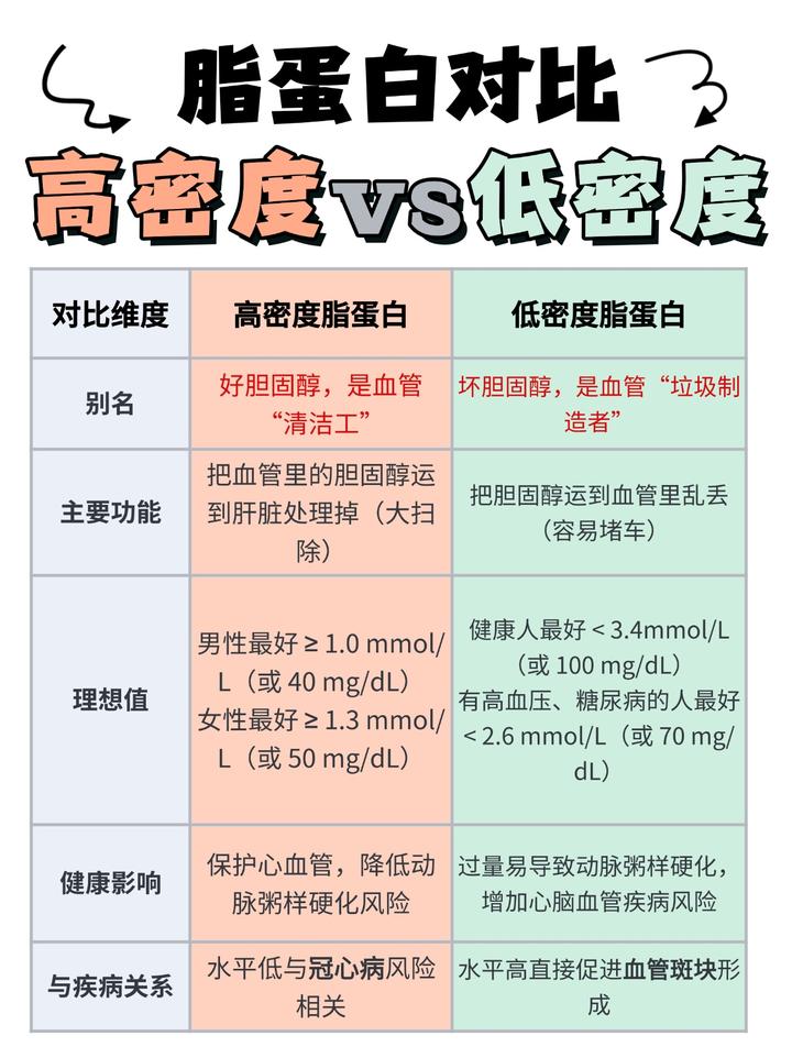 高密度脂蛋白vs低密度脂蛋白 - 知乎
