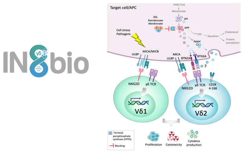免疫细胞最新研究盘点 - 知乎