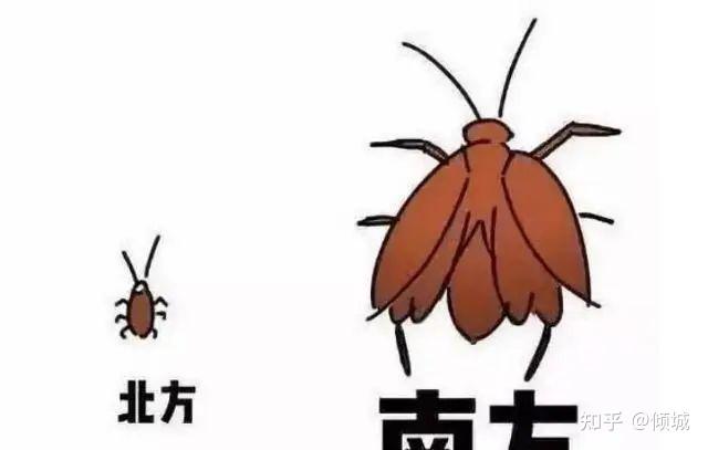 南方上学vs北方上学,差异究竟有多大?网友感叹:形容太真实了 知乎