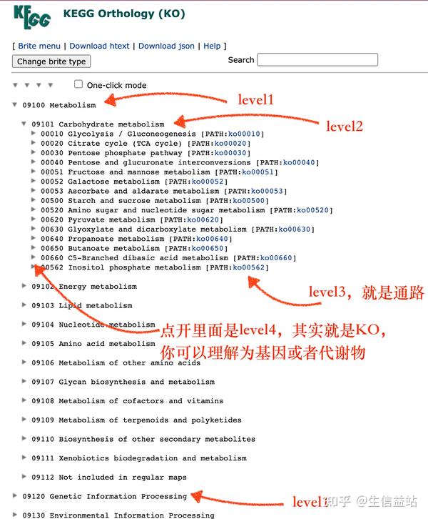 玩转KEGG(四)——(数据+代码)KEGG层级网络图，再重复不出来就不是数据原因了！ - 知乎