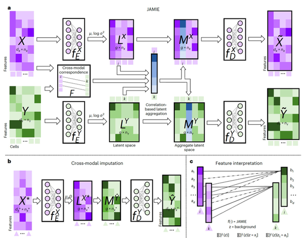 Nat. Mach. Intell. | 多模态补全和特征的联合变分自编码器 - 知乎