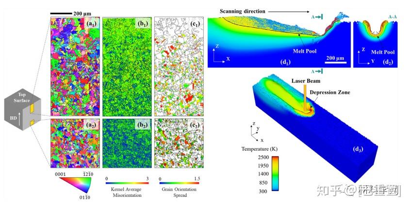 《Scripta Materialia》：延伸率高达34.3%！增材制造超细晶纯Ti - 知乎