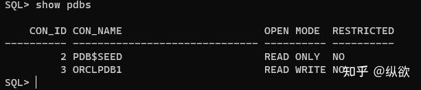 Docker安装Oracle 19c - 知乎
