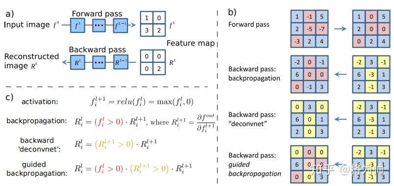 “直观理解”卷积神经网络(二)：导向反向传播(Guided-Backpropagation) - 知乎