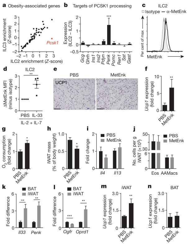 ILC2与脂肪代谢（二） - 知乎