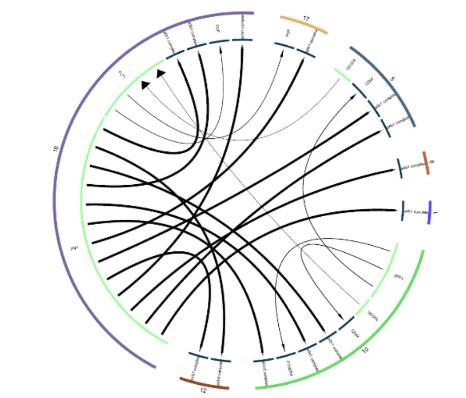 实用指南丨CellPhoneDB 细胞互作分析是什么？怎么看？如何用？ - 知乎