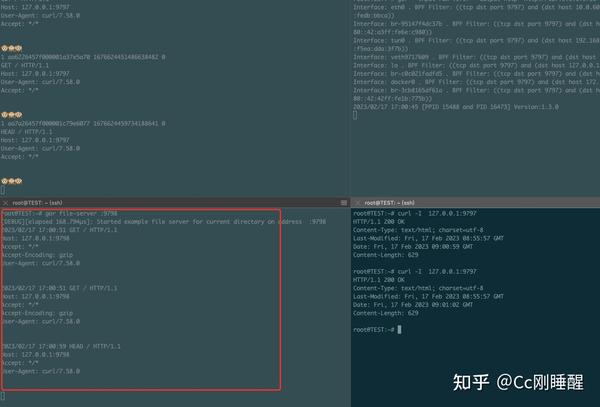流量复制之GoReplay - 知乎