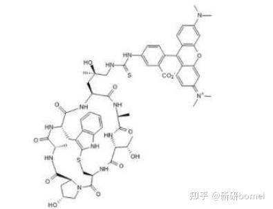 915013-10-4,TRITC-Phalloi,罗丹明标记鬼笔环肽的使用方法 - 知乎