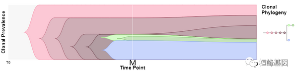 Topic 9. 克隆进化之 TimeScape - 知乎