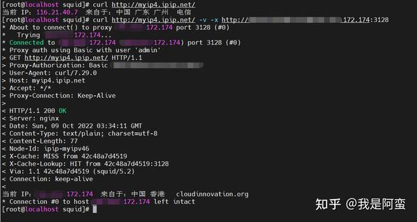 Docker 网络代理服务器 squid - 知乎