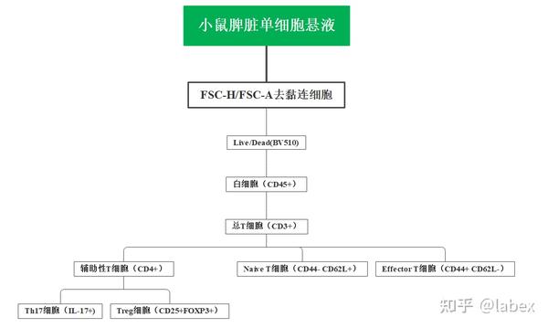 LabEx 流式服务实例分享——小鼠脾脏的9色分析 - 知乎