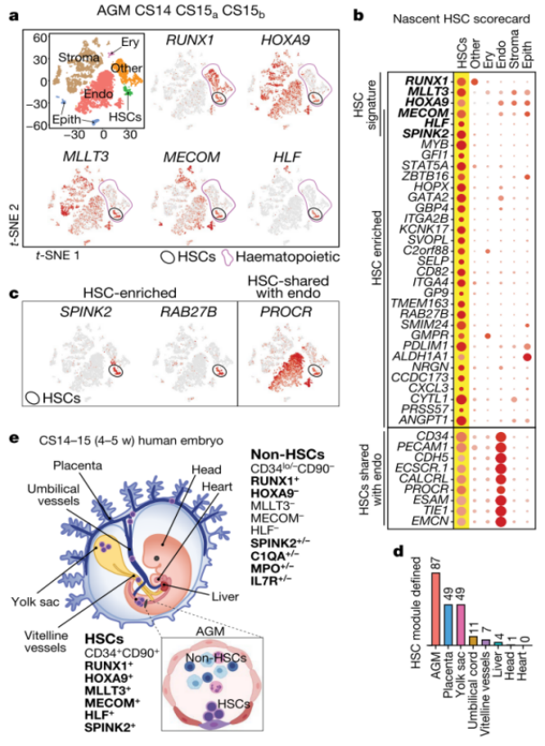 单细胞和空间联合分析怎么做？这篇文章告诉你 - 知乎