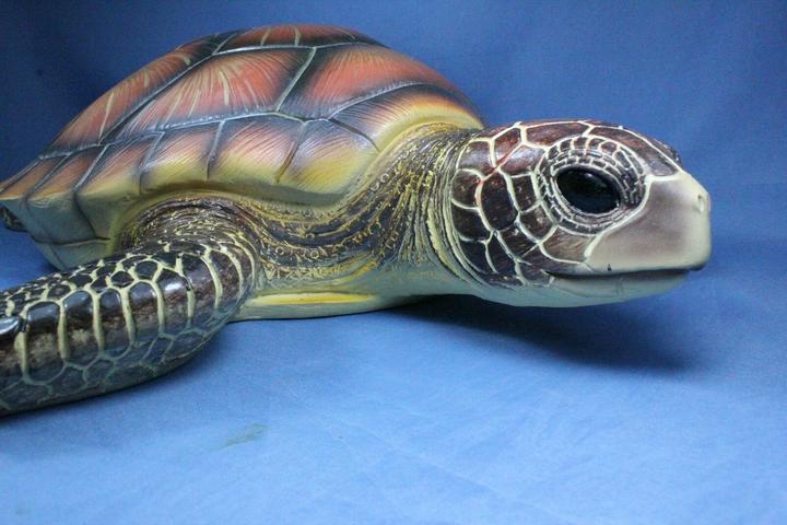 Python入门自学最重要、最全标准库turtle 知乎 2859