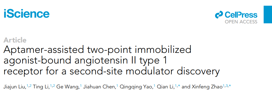 iScience｜西北大学赵新锋/李倩团队建立血管紧张素II受体1型受体（AT1R）双位点固定化方法并用于非激动活性配体筛选 - 知乎