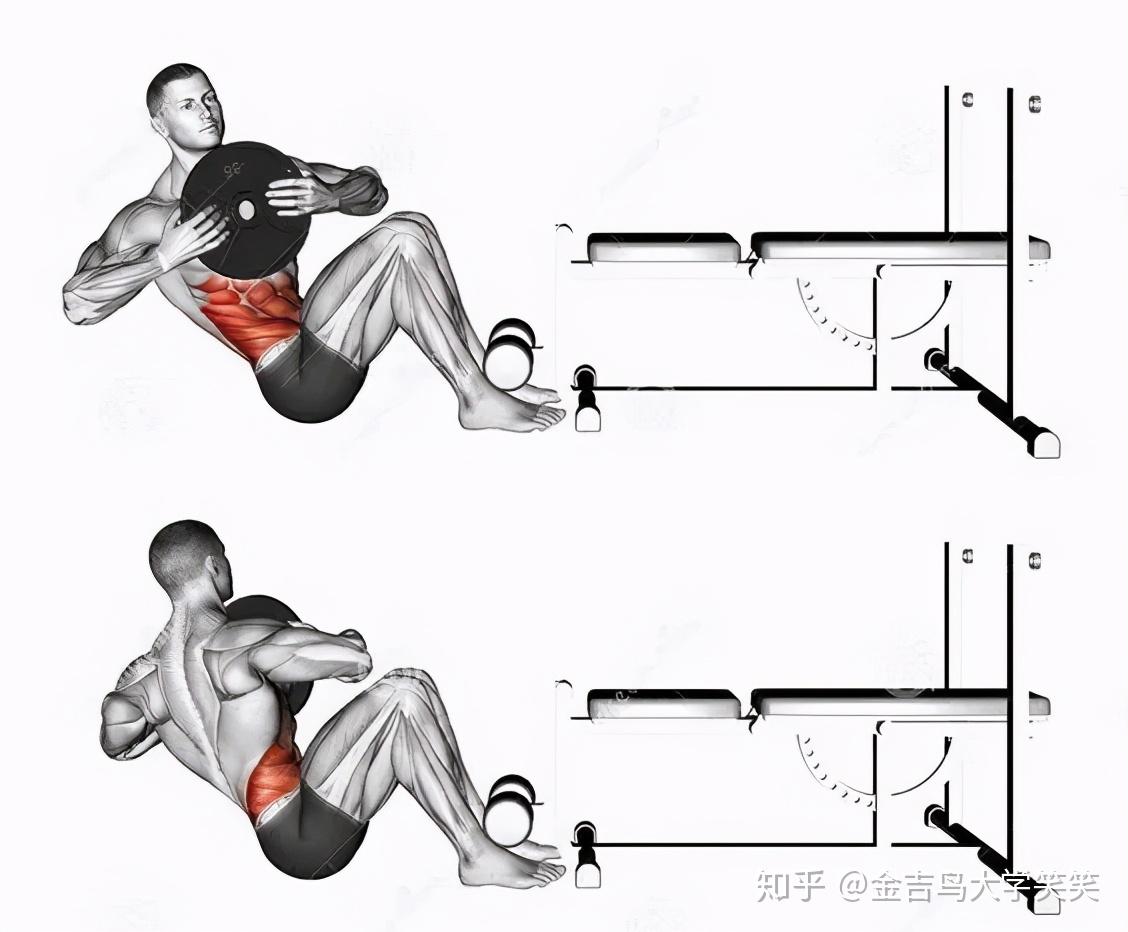 30张腹肌训练图谱告诉你，腹肌各部位怎么练 知乎