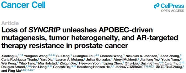 Cancer Cell | 李小玲/牟平等发现控制APOBEC基因突变和前列腺癌抗药性的新机制 - 知乎