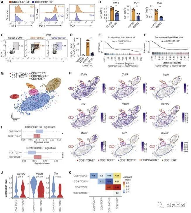 Cancer Cell ｜ 组织驻留记忆CD8+ T细胞介导乳腺癌局部免疫和免疫检查点反应 - 知乎