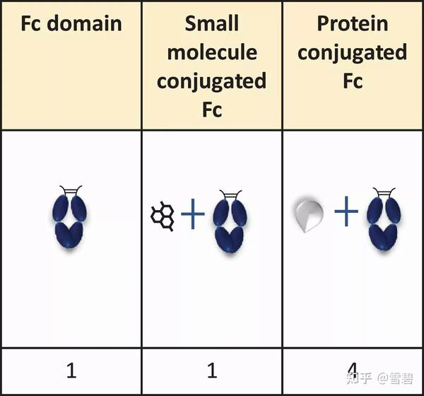 ADCC ADCP CDC 效应及区别 - 知乎