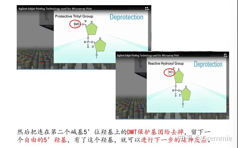 一篇入门Biochip(生物芯片)万字手册 - 知乎