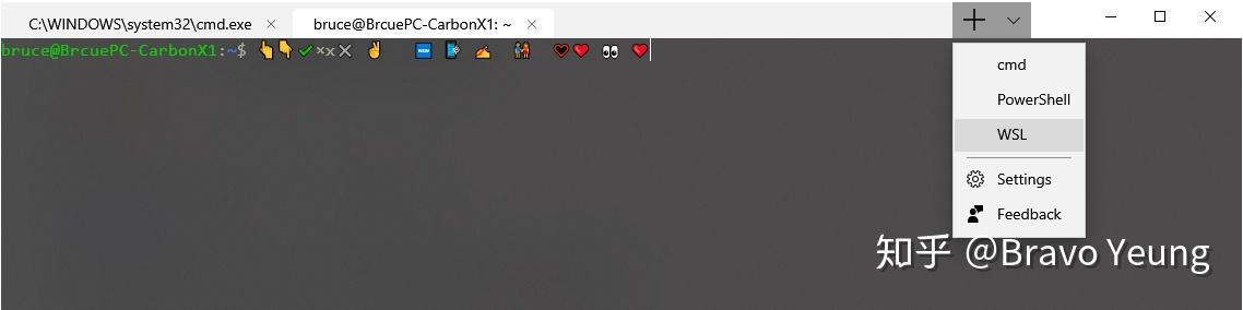 Windows下最漂亮的Terminal Emulator是什么？ - 知乎