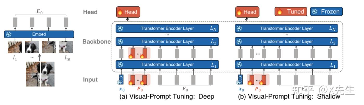 《Visual Prompt Tuning》视觉prompt - 知乎